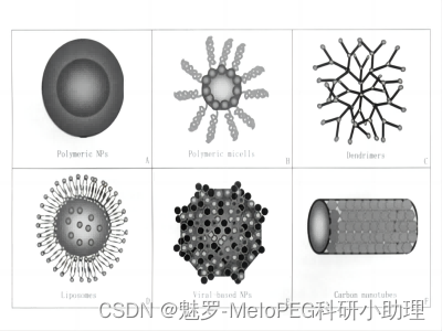 肝癌靶向肽SP94-PEG-PLGA，高分子聚合物纳米载体偶联靶向多肽-CSDN博客