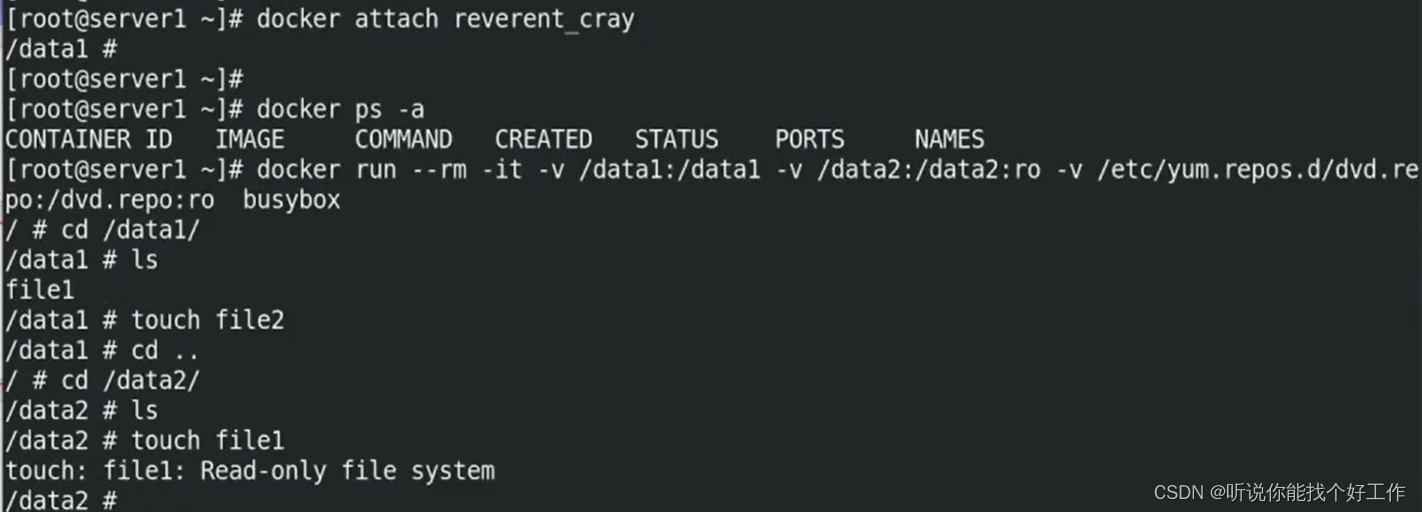 Docker数据卷管理与Convoy卷插件实战指南-CSDN博客