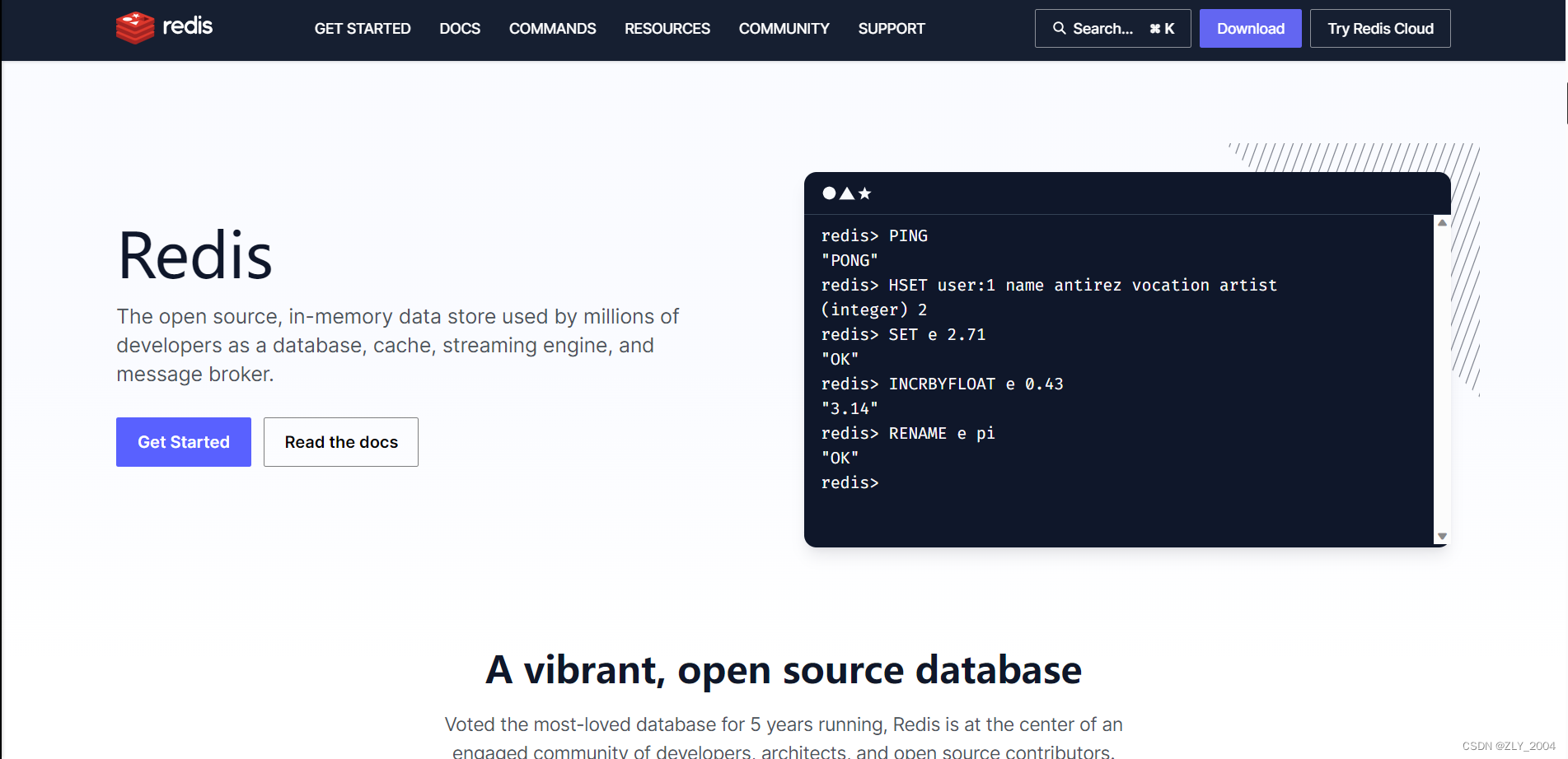 redis专栏2 安装redis-CSDN博客