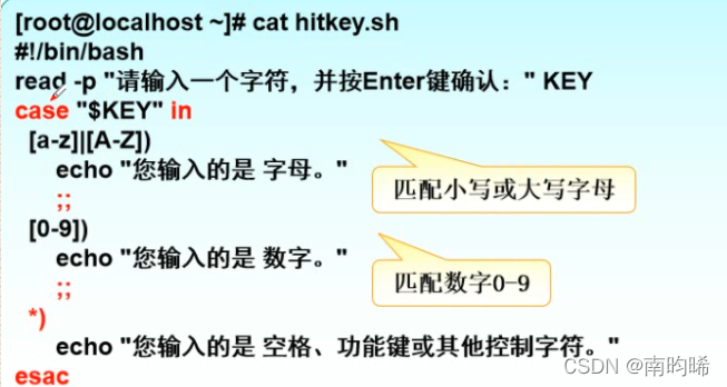 【Linux】（15）shell编程基础命令：echo、case、位置变量、while、read_shell while read 变量-CSDN博客