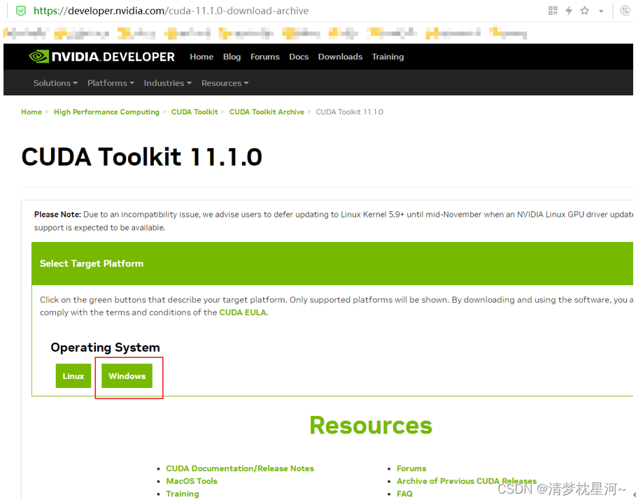 windows系统安装显卡驱动软件和CUDA11.1的详细教程_cuda驱动-CSDN博客