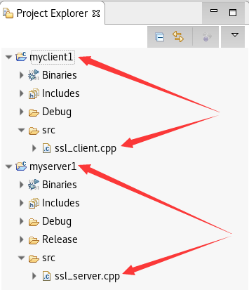 openssl实现双向认证教程（服务端代码+客户端代码+证书生成）_js 获取sslsocket客户端密钥-CSDN博客