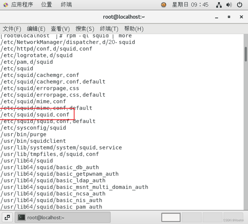Squid代理服务搭建_squid proxy-CSDN博客