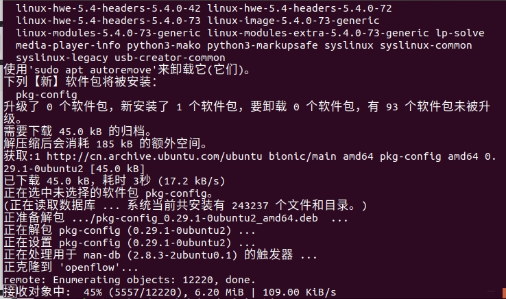 Ubutun下如何安装Mininet和Ryu_ubuntu安装mininet-CSDN博客