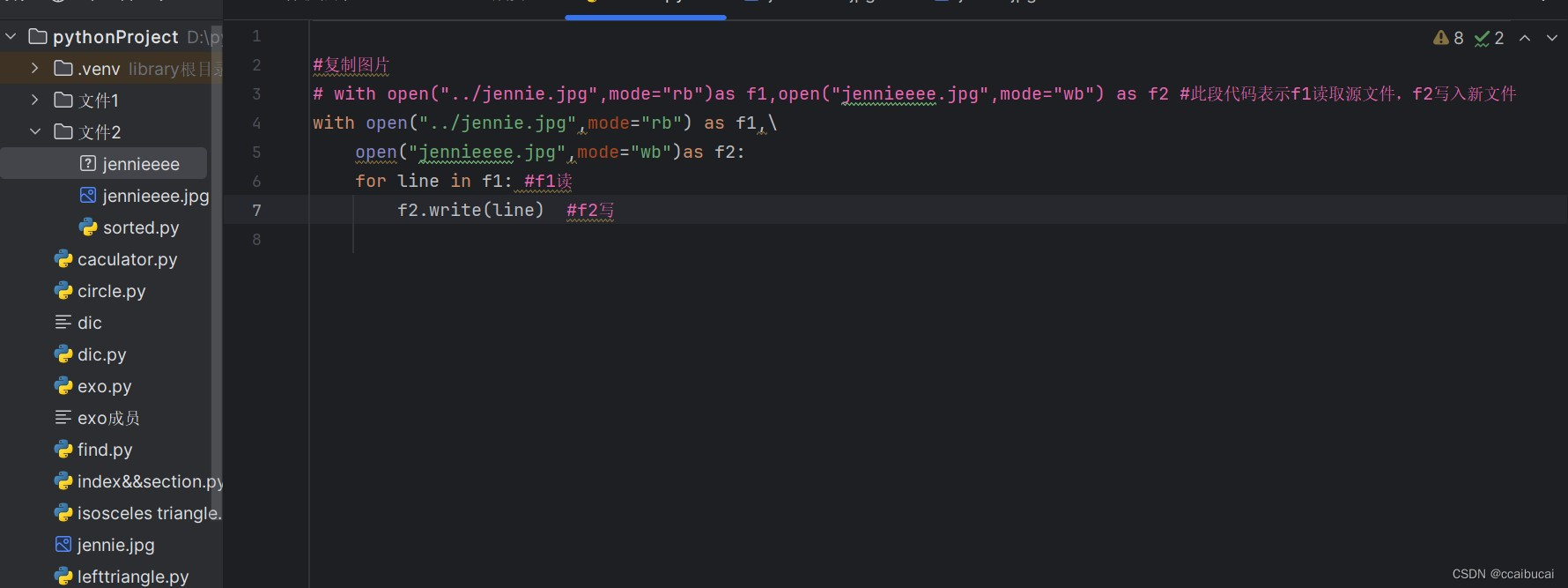 Python之文件操作-CSDN博客