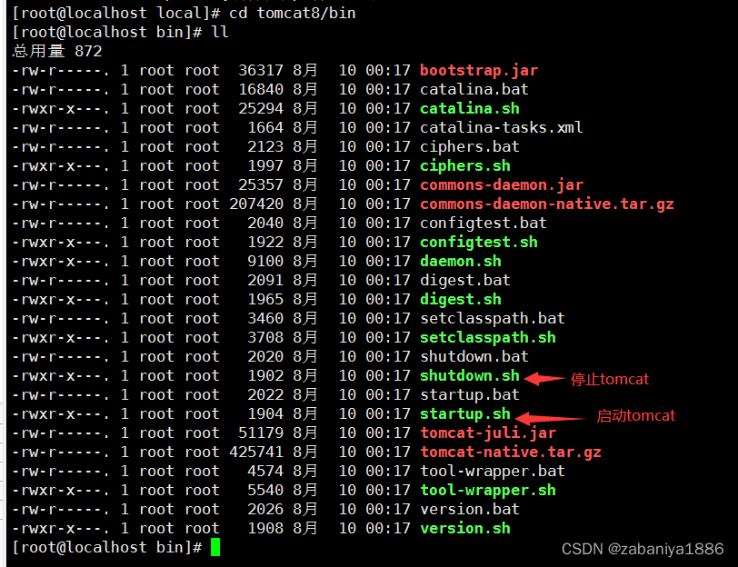 Linux 安装MySQL、JDK以及Tomcat的小白教程_linux环境搭建mysql+tomcat-CSDN博客
