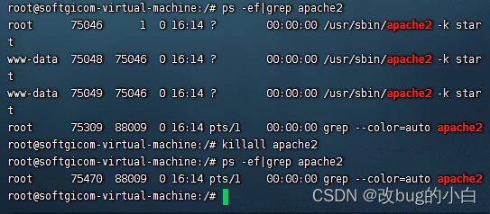 Linux系统命令详解_ls -la-CSDN博客
