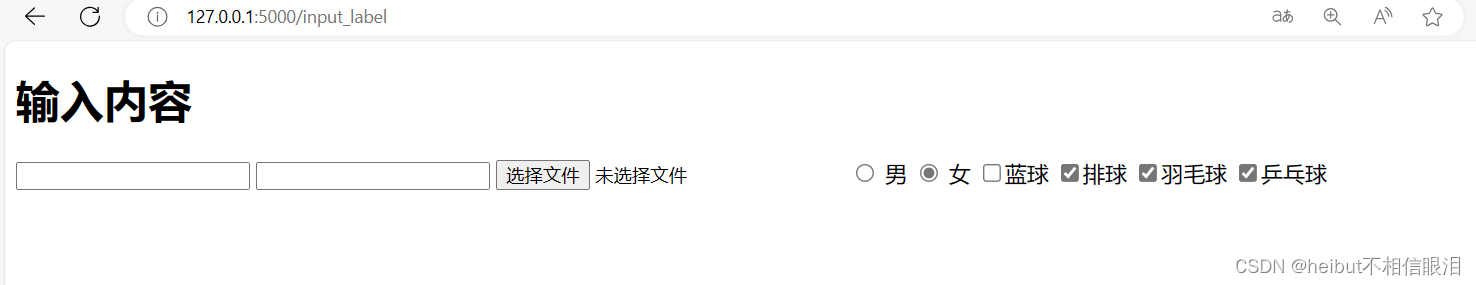 HTML input系列_htms input csdn-CSDN博客