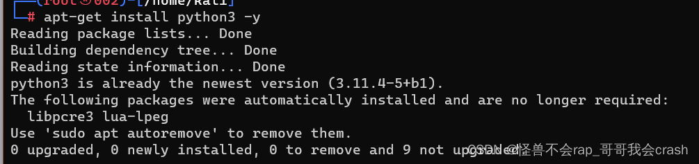 dirsearch安装及简单使用（###linux系统和windows系统）_dirsearch windows-CSDN博客