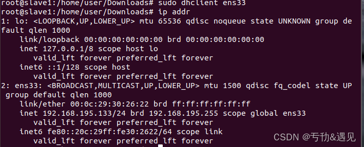 查不到IP_用dhclient查看发现没有ip-CSDN博客