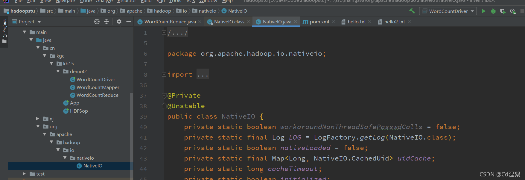 IDEA遇到Exception in thread “main“ java.lang.UnsatisfiedLinkError: org.apache.hadoop.io.nativeio ...