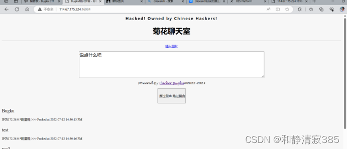 Bugku Web 留言板 Csdn博客 