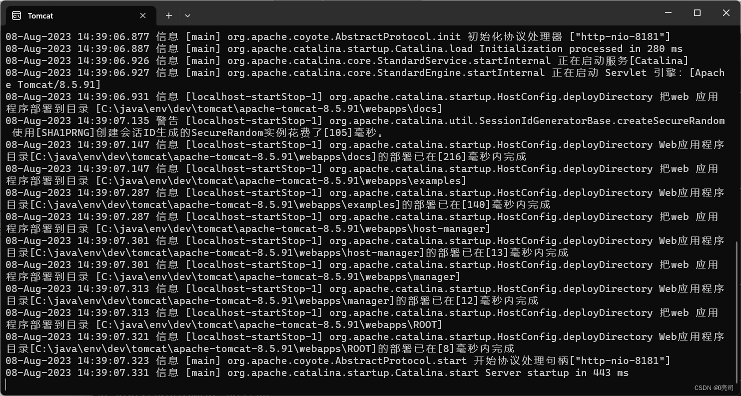 Tomcat环境配置与启动指南,-CSDN博客