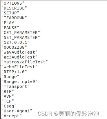 SGFuzz使用及profuzzbench的使用-CSDN博客