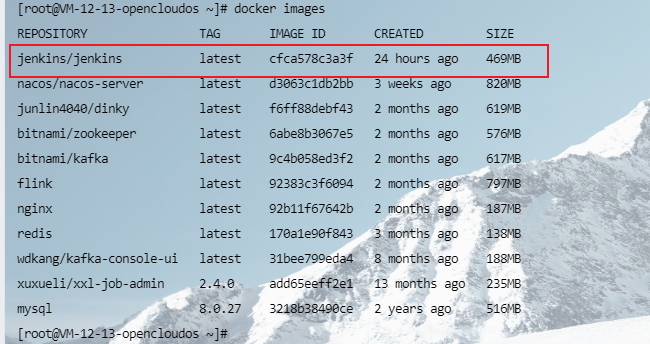 Docker搭建Jekins_docker 安装jenkins-CSDN博客