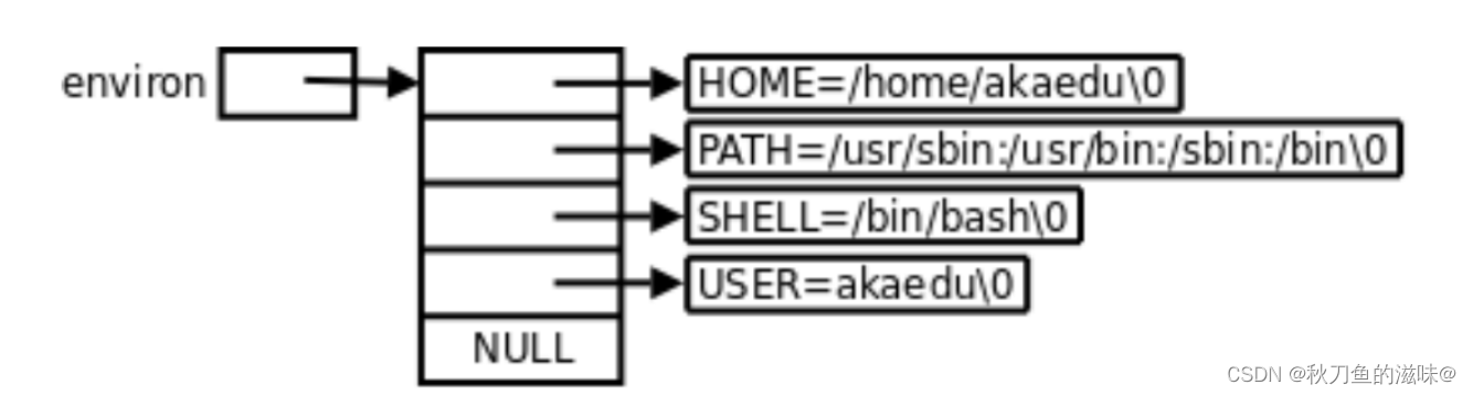 【Linux杂货铺】环境变量_binbath-CSDN博客