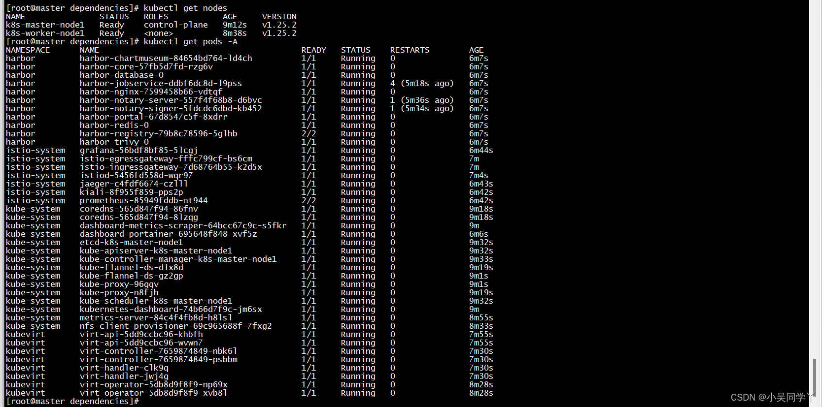 容器云（PASS_v2.1 ）的部署_云计算kubeeasy-v2.0-CSDN博客