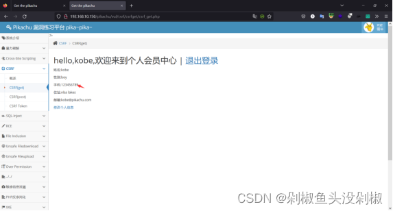 CSRF及SSRF详解_csrf ssrf-CSDN博客