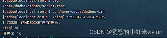 达梦error:[-70028]：创建SOCKET连接失败_[-70028]:创建socket连接失败.-CSDN博客
