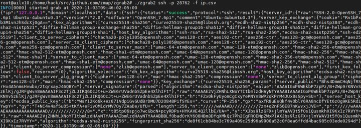 zgrab扫描神器简单应用_zgrab工具网络扫描尝试-CSDN博客