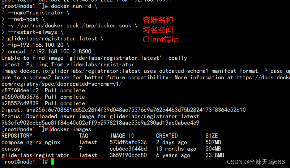 Docker之Consul部署_consul docker-CSDN博客
