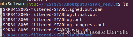 Linux系统下RNA-seq分析（2.STAR比对和cufflinks拼接）_star.aligned.out.sam-CSDN博客