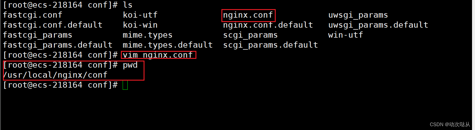 部署Nginx前端页面-CSDN博客