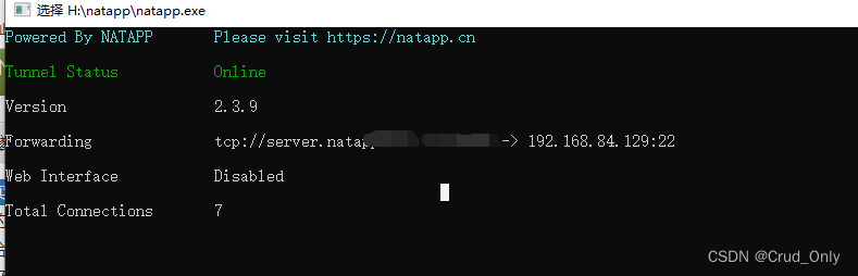 xshell远程连接无公网ip的虚拟机服务器_阿里云没有公网shell远程登录-CSDN博客
