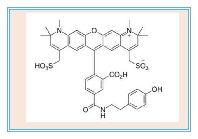 AF 594 TSA，AlexaFluor594 Tyramide，具有高荧光量子产率和高光稳定性的探针-CSDN博客