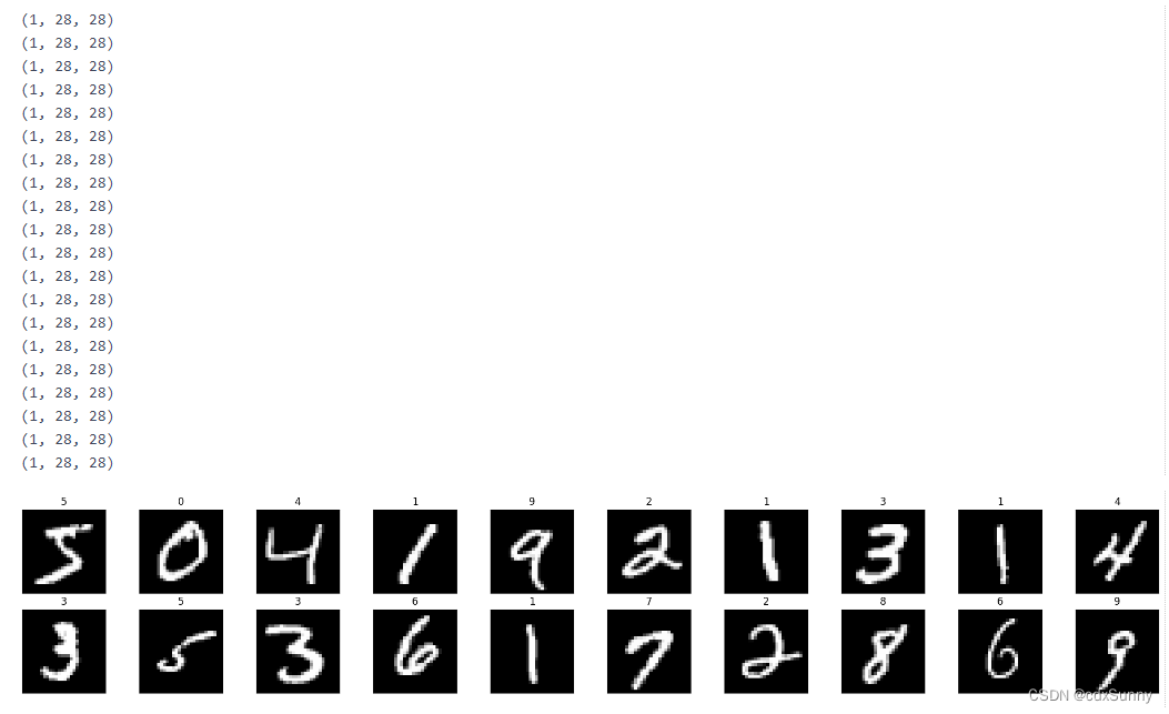 地心的PyTorch学习（四）_ax.imshow(np.squeeze(images[idx]), cmap='gray')-CSDN博客