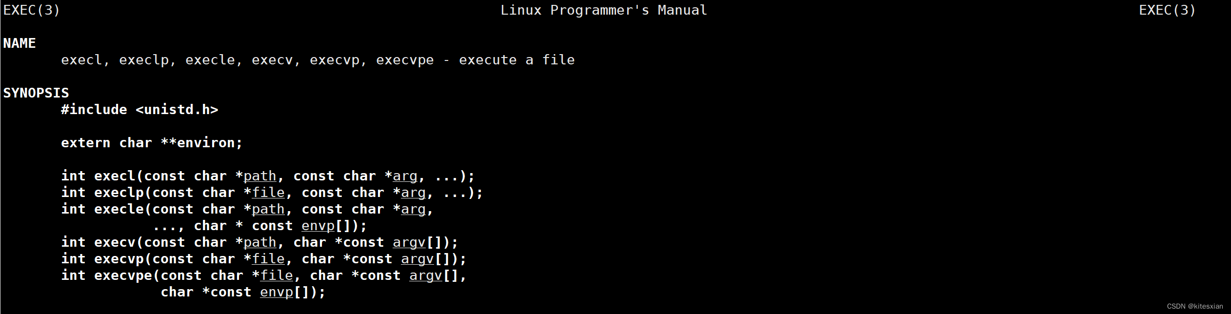 进程替换execl-CSDN博客