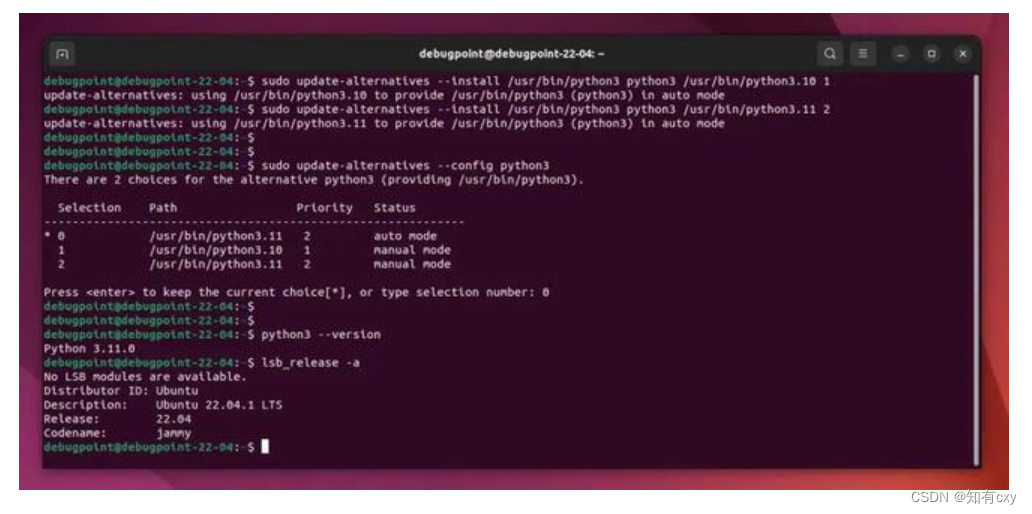 如何在 Ubuntu 和相关发行版中安装 Python 3.11_ubuntu18.04安装python3.11-CSDN博客