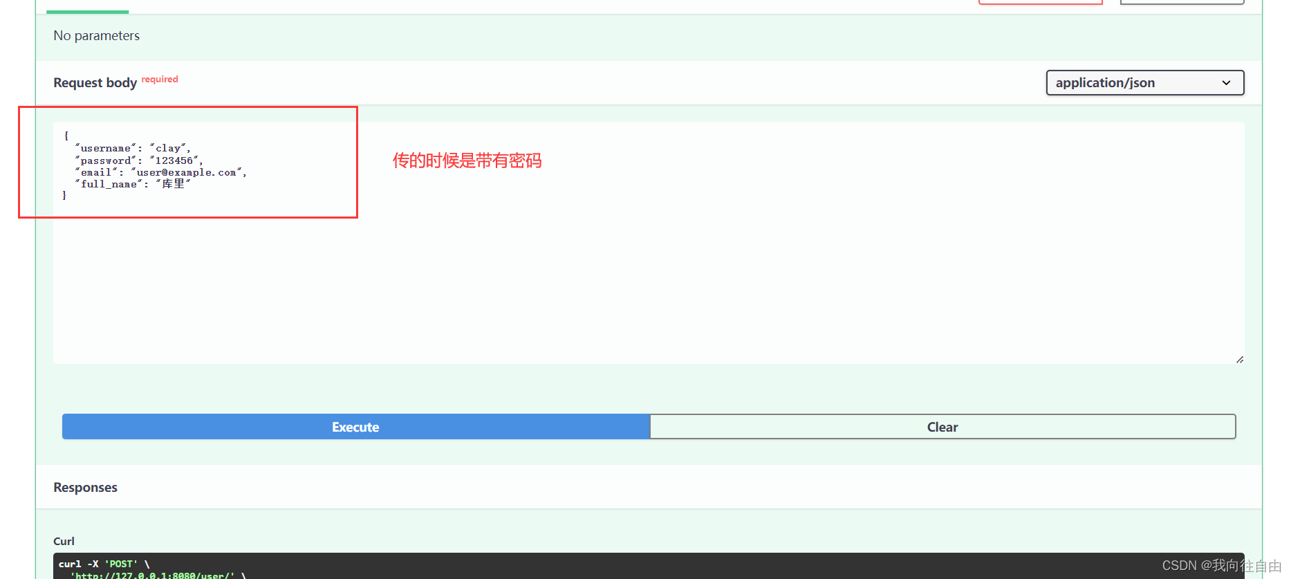 【最快入门】一篇文章学会Python最快框架fastapi_python fastapi教程-CSDN博客