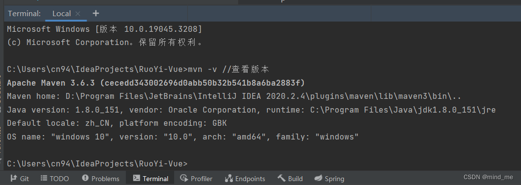 若依vue框架入门idea篇，初次运行 后端idea如何运行若依后台 Csdn博客