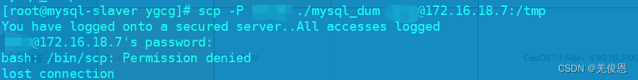 Linux scp报错：bash: /bin/scp: Permission denied_scp permission denied lost connection-CSDN博客