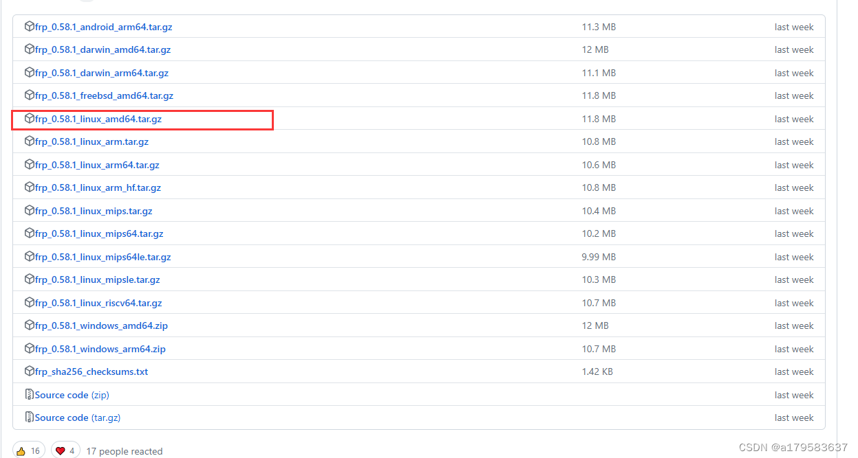 Frp内网穿透实战_frp 0.58.1-CSDN博客