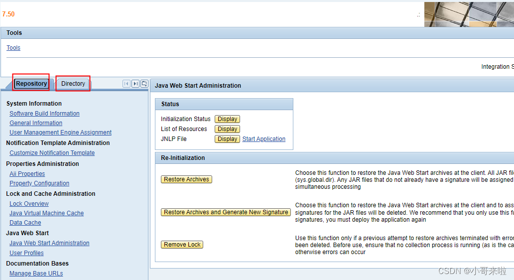 SAP PI - 永久登陆控件_repository.jnlp-CSDN博客