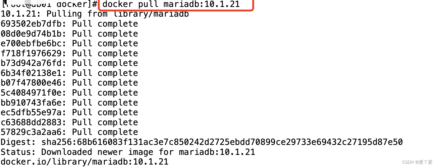 docker中安装Mariadb_docker安装mariadb-CSDN博客