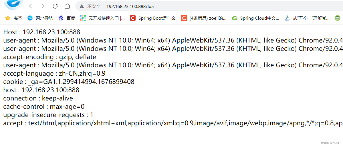 【Nginx高级篇】Lua基础语法和OpenResty的安装_nginx lua语言-CSDN博客