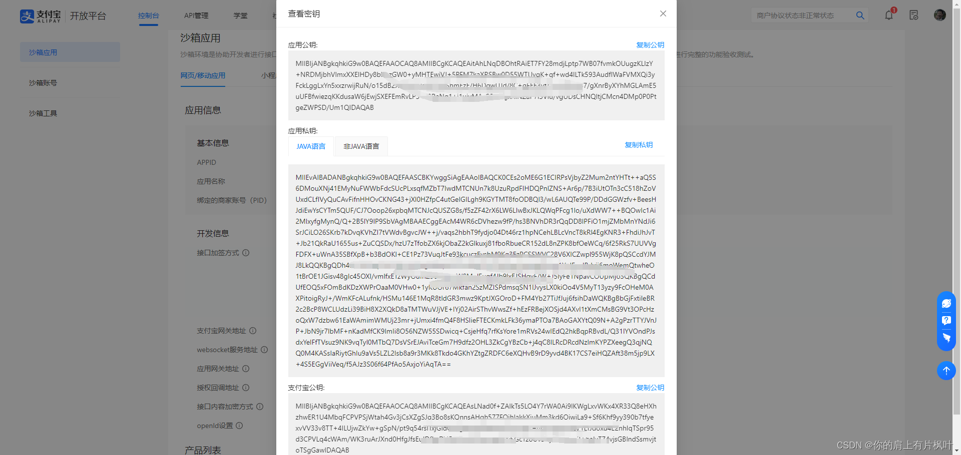 Springbootvue整合支付宝沙箱模拟支付以及退款支持部分退款springboot Vue 接入沙盒支付青戈的 Csdn博客