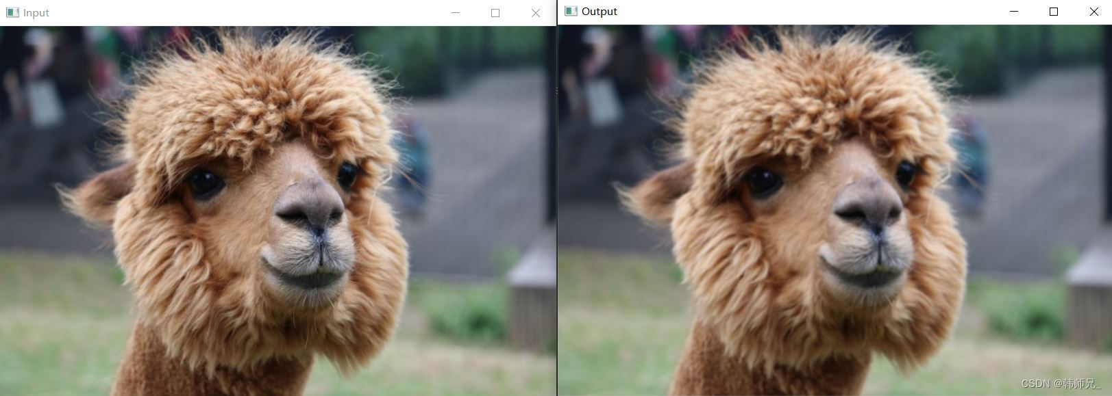 003 OpenCV filter2D-CSDN博客