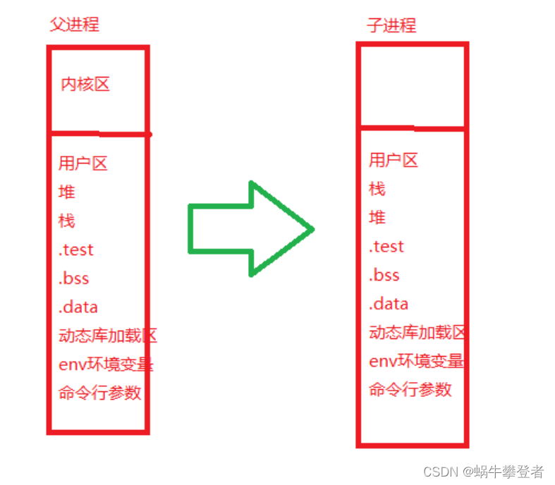 fork（） （父子进程）与wait()、waitpid()（进程回收）-CSDN博客