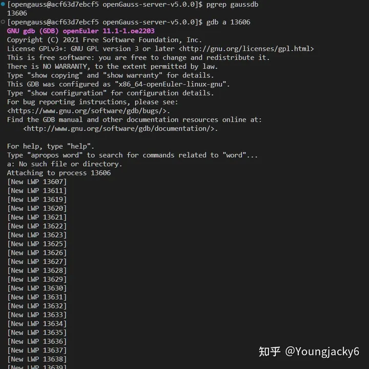 opengauss数据库debug开发版docker安装配置_opengauss docker 调试-CSDN博客