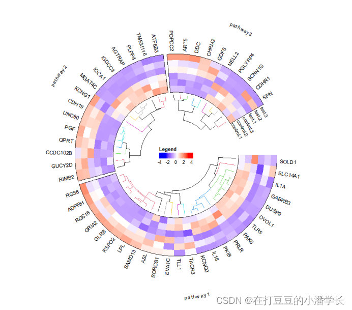 【R语言】——绘制环形热图 4（保姆级教程）_环状热图-CSDN博客