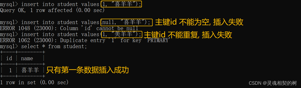 【mysql】五种约束类型 主键和外键的使用方式重点mysql Primary Key怎么使用 Csdn博客