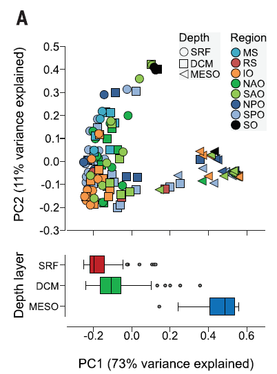 PCoA+boxplot：宏基因组扩增子组间差异分析（Beta多样性组合图）_构建microtable对象-CSDN博客