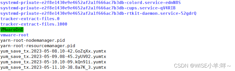 Hadoop NameNode -format 格式化之后，没有出现tmp目录_hadoop中缺少tmp文件-CSDN博客