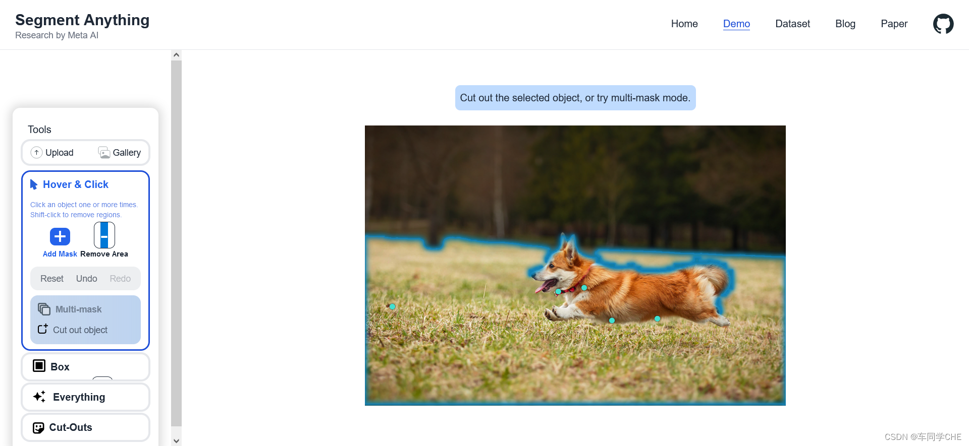 论文代码复现之Medical SAM Adapter (Junde Wu version)_raise runtimeerror(f ...