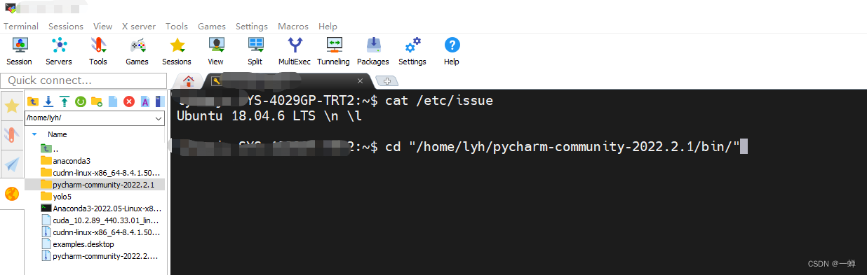 Mobaxterm远程linux服务器，打开服务器ubuntu图形化桌面 灰信网（软件开发博客聚合） 
