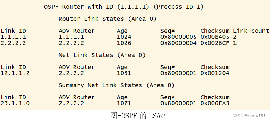 【CCNP】第五章 动态路由协议-OSPF-CSDN博客
